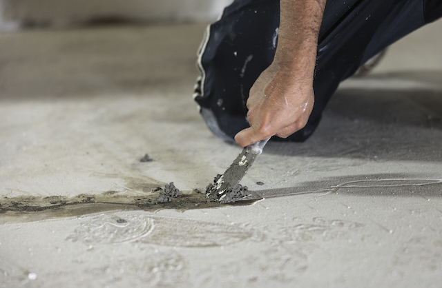 How Pests Can Seriously Damage Your Concrete - Lanham Construction